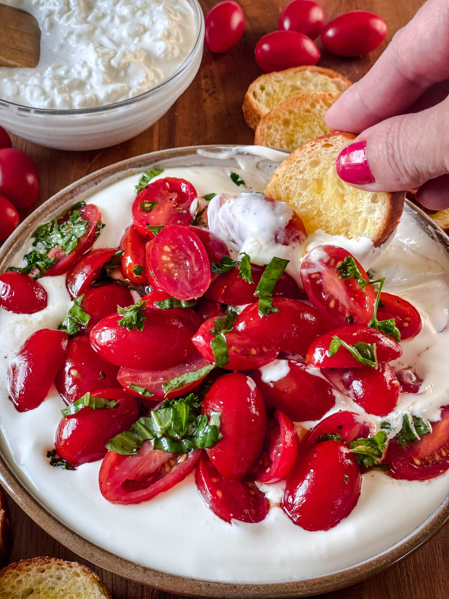 Whipped Cottage Cheese Caprese Dip - Lolo Home Kitchen